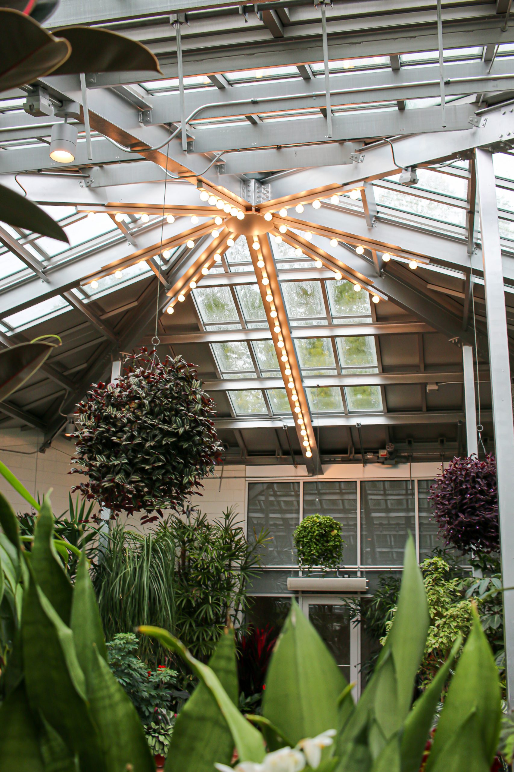 Dow Gardens Conservatory - Serenus Johnson Construction