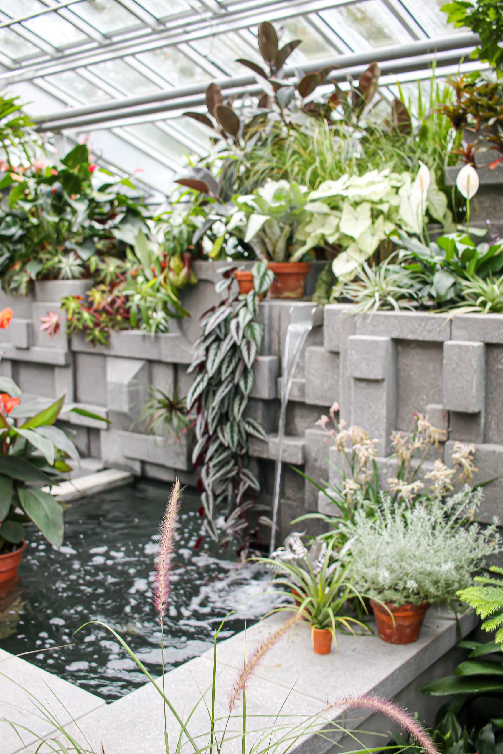 Dow Gardens Conservatory - Serenus Johnson Construction